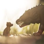 Shelly Corbett Photography | The Secret World of Toys