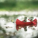 Shelly Corbett Photography | The Secret World of Toys