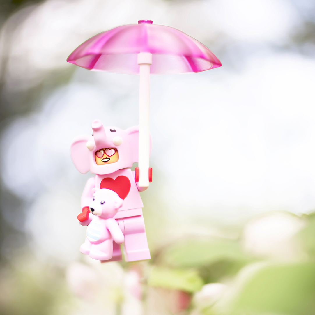 Shelly Corbett Photography - The Secret World of Toys