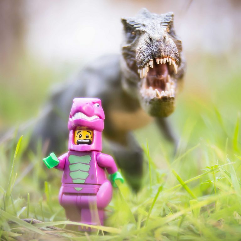 Shelly Corbett Photography - The Secret World of Toys