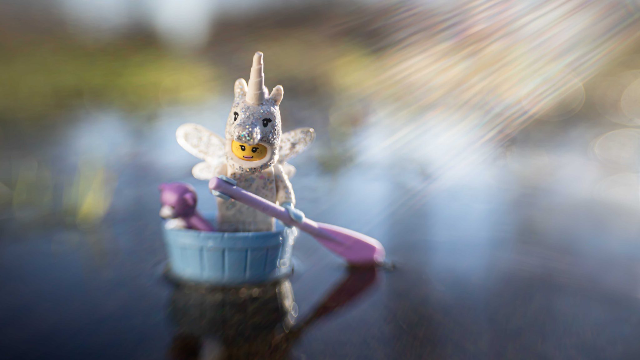 Lensbaby lenses and how I use them - Shelly Corbett Photography