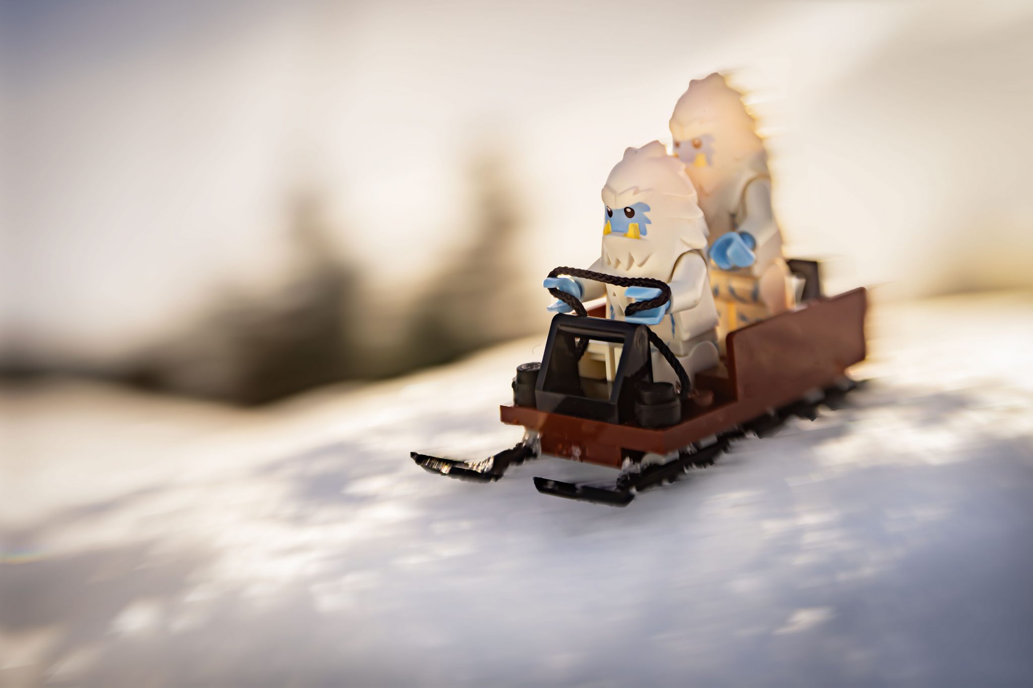 Lensbaby - Shelly Corbett Photography