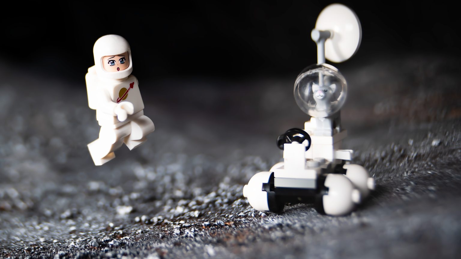 Masterclass - Shelly Corbett Photography