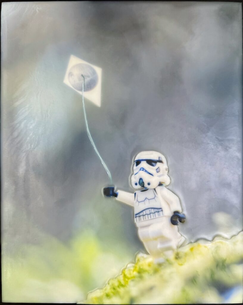 Let's go fly a kite! - Shelly Corbett Photography